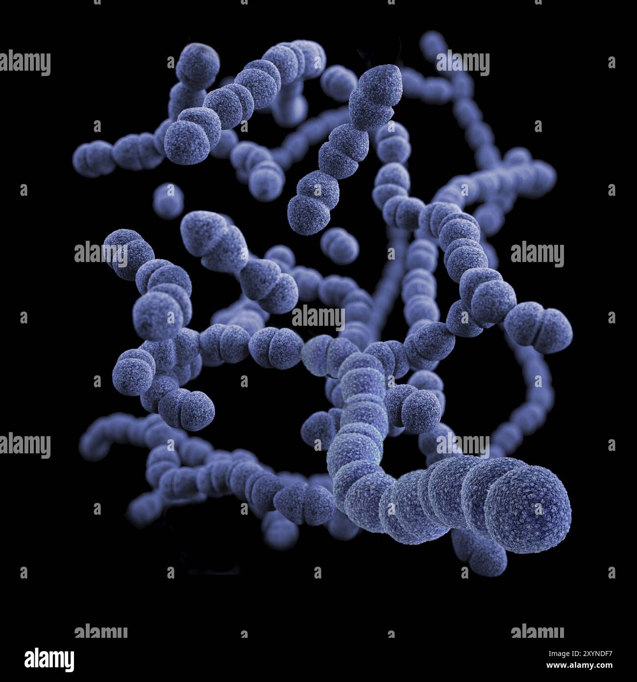 Detailed depiction of several parts hi-res stock photography and images - Alamy