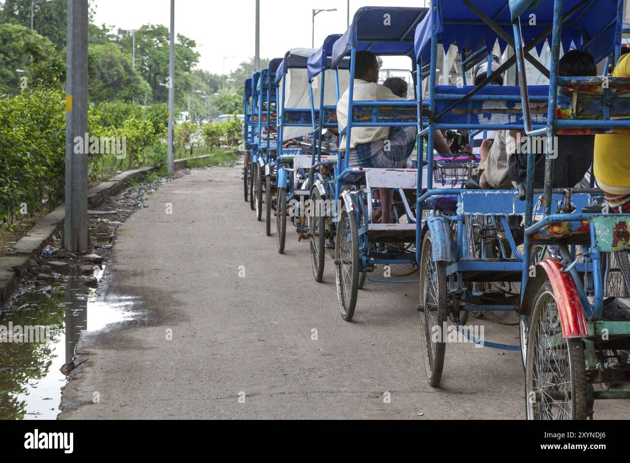 Rickshaws in Delhi, India, waiting for passengers, Asia Stock Photo - Alamy