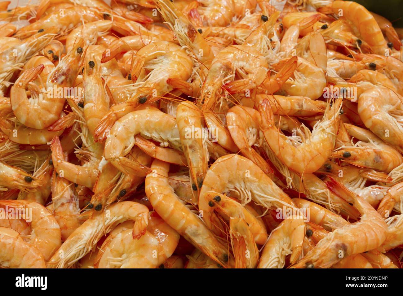 Fresh crabs, close-up Stock Photo - Alamy