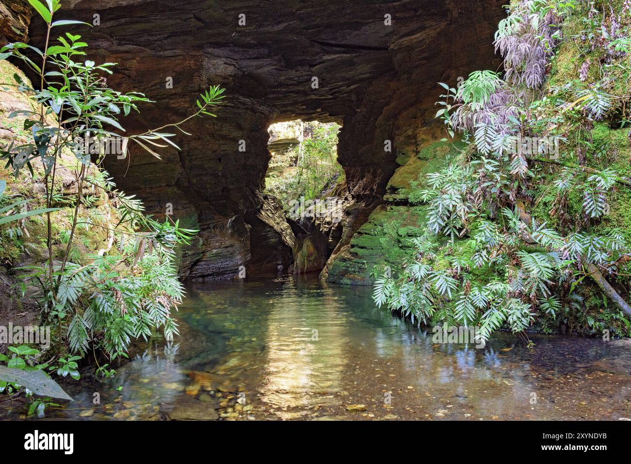 Exploring caves the forest hi-res stock photography and images - Alamy