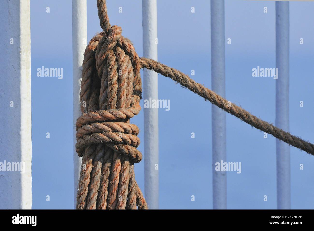 Rescue rope with knots Rescue rope with knots Stock Photo - Alamy