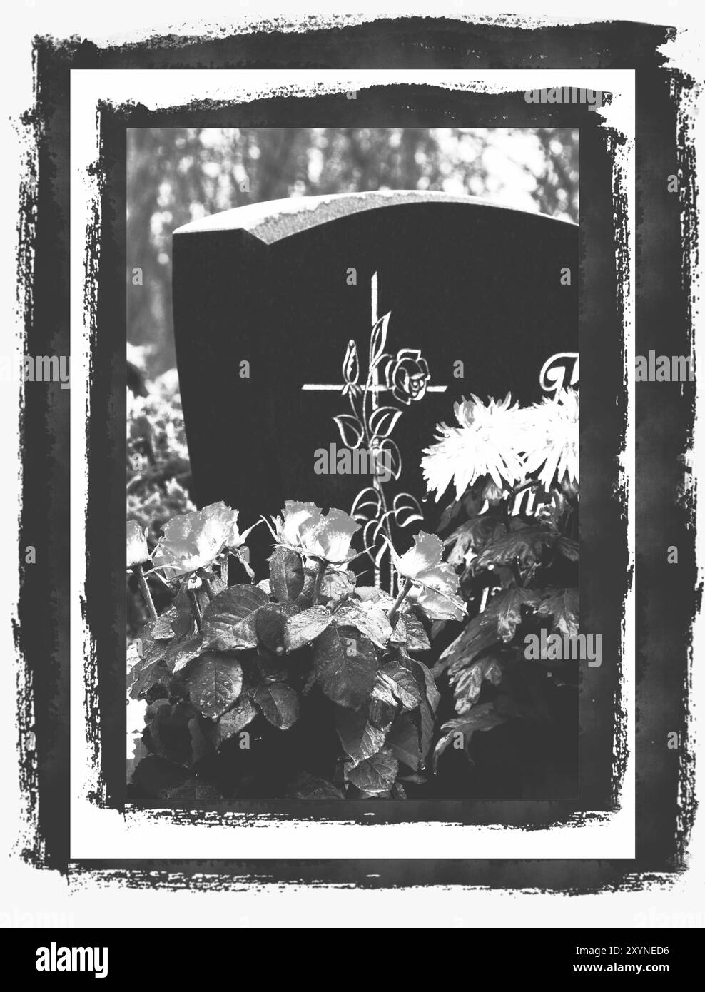 Flower arrangement fir branches Cut Out Stock Images & Pictures - Alamy