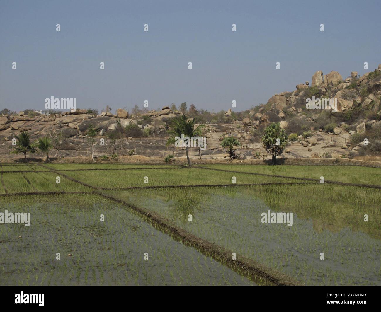 Indian fields historical hi-res stock photography and images - Alamy
