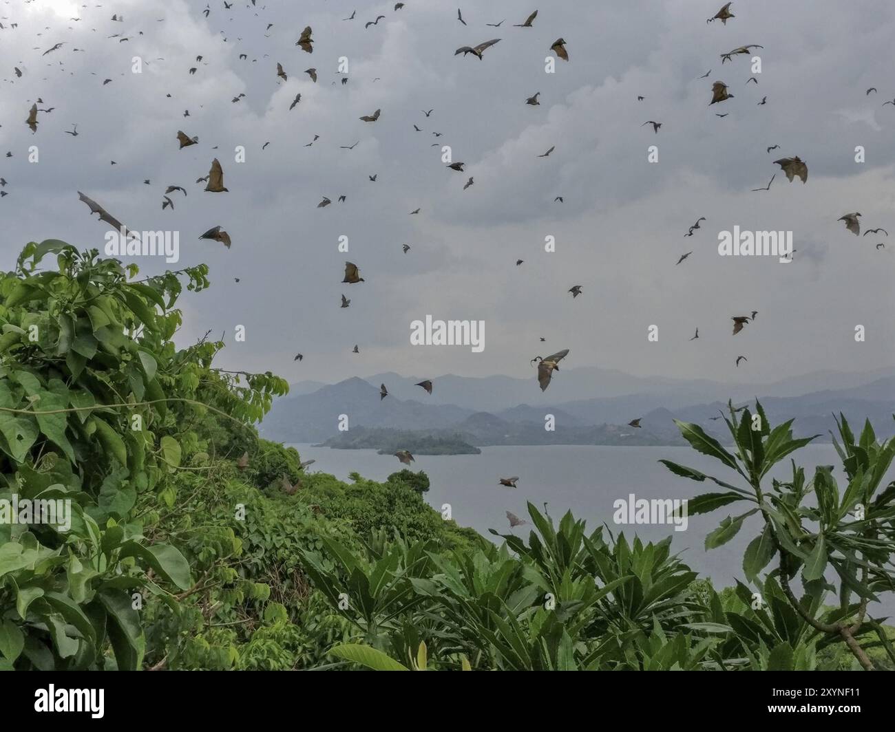 Lake Kivu, Rwanda (africa Stock Photo - Alamy