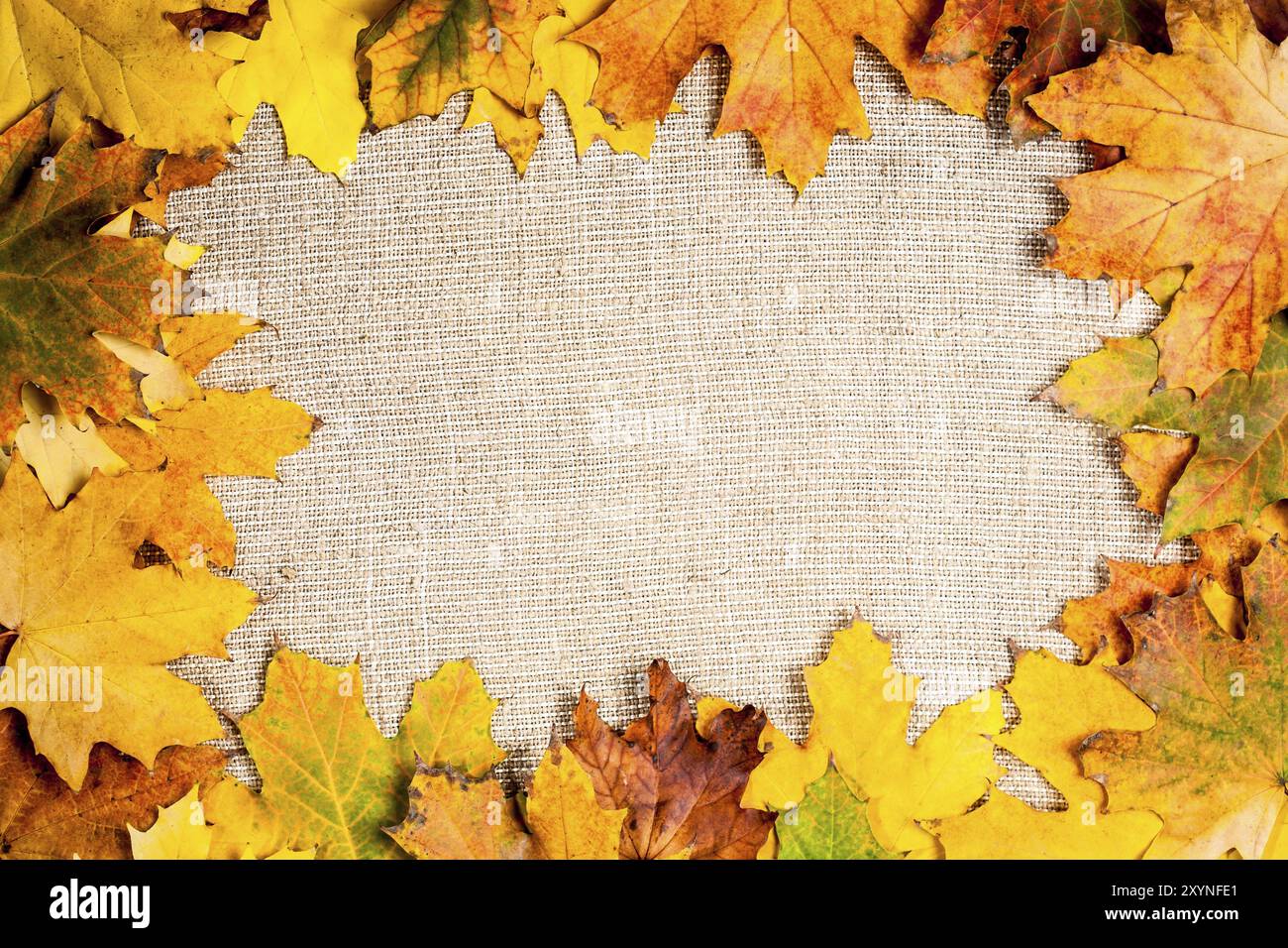 Leaves on canvas hi-res stock photography and images - Alamy