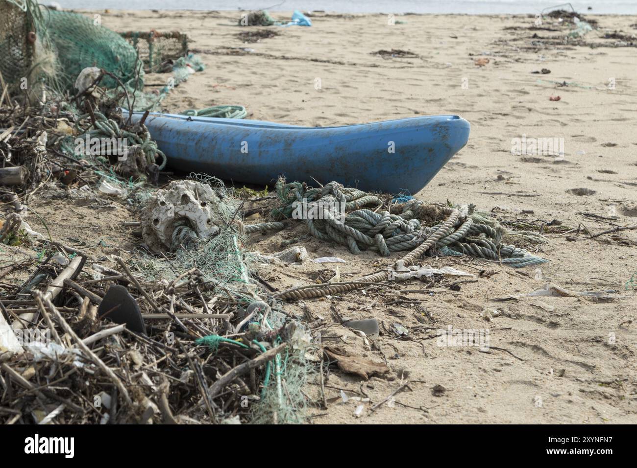 Symbolic image environmental protection, environmental destruction, sea ...