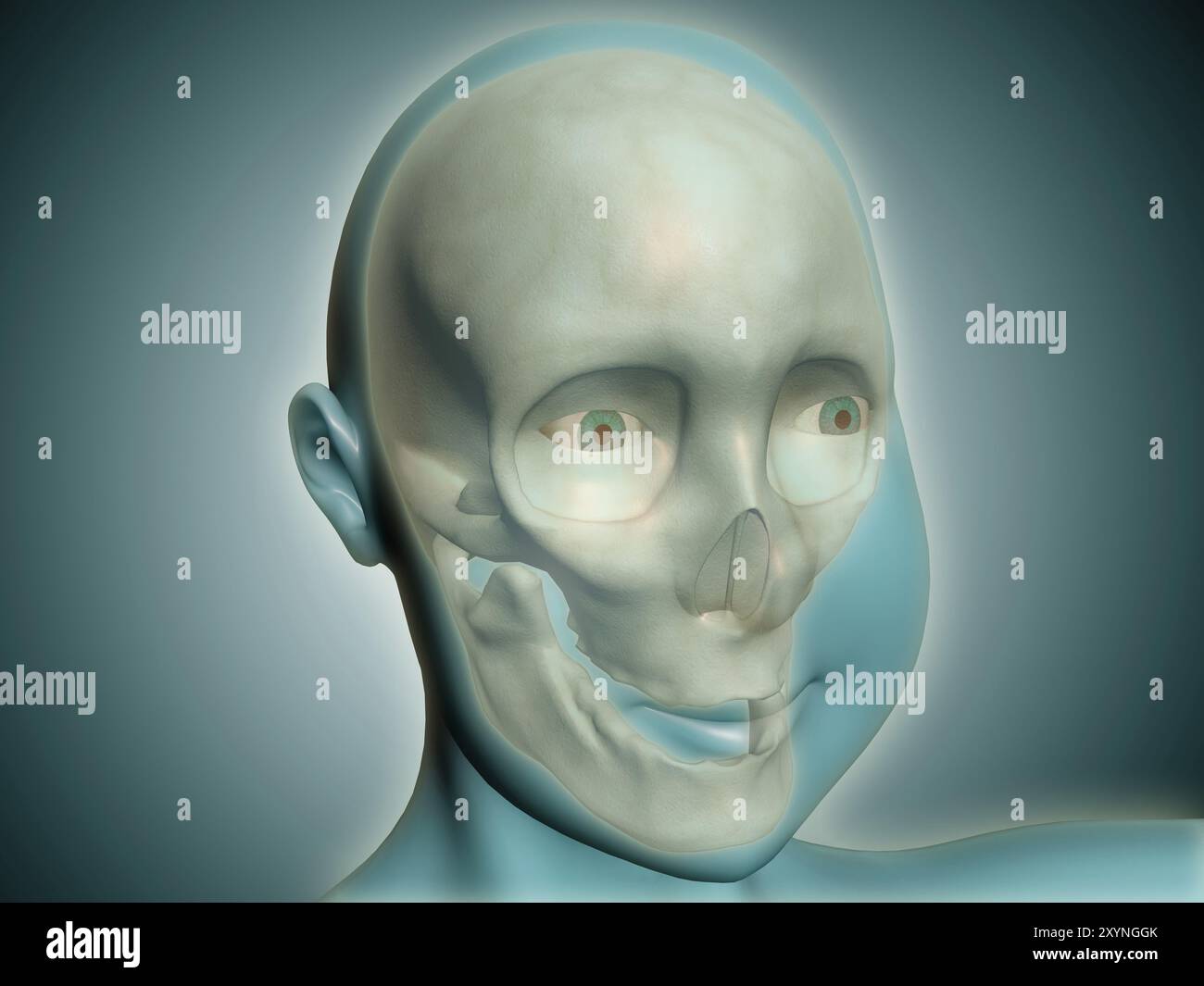 Close up female body parts hi-res stock photography and images - Alamy
