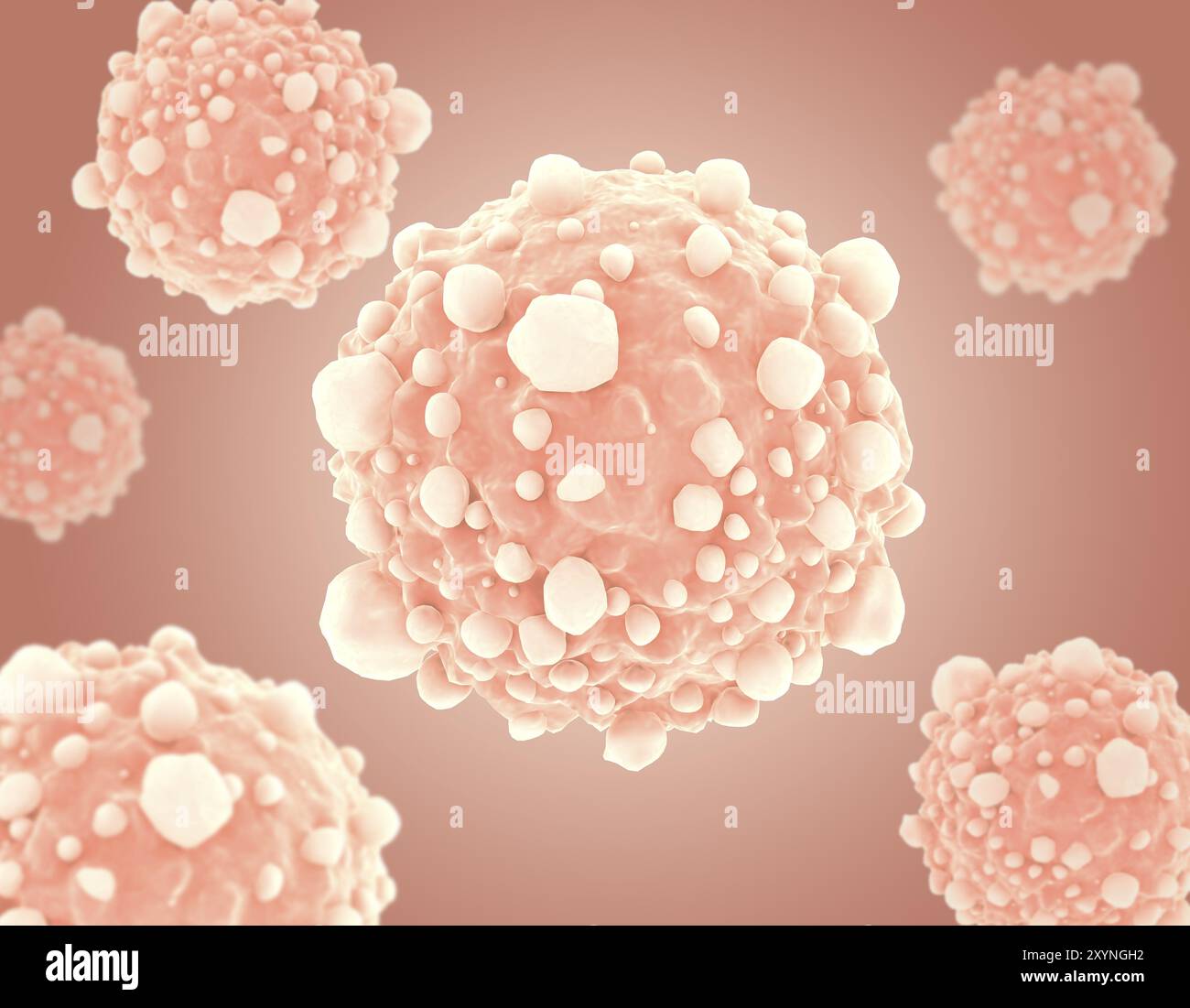 Microscopic view of pancreatic cancer cells Stock Photo - Alamy Microscopic view of pancreatic cancer cells Stock Photo - Alamy