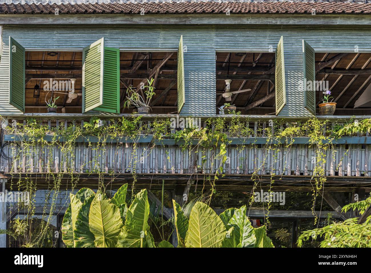 Facade of a wooden house, house, architecture, building, facade ...