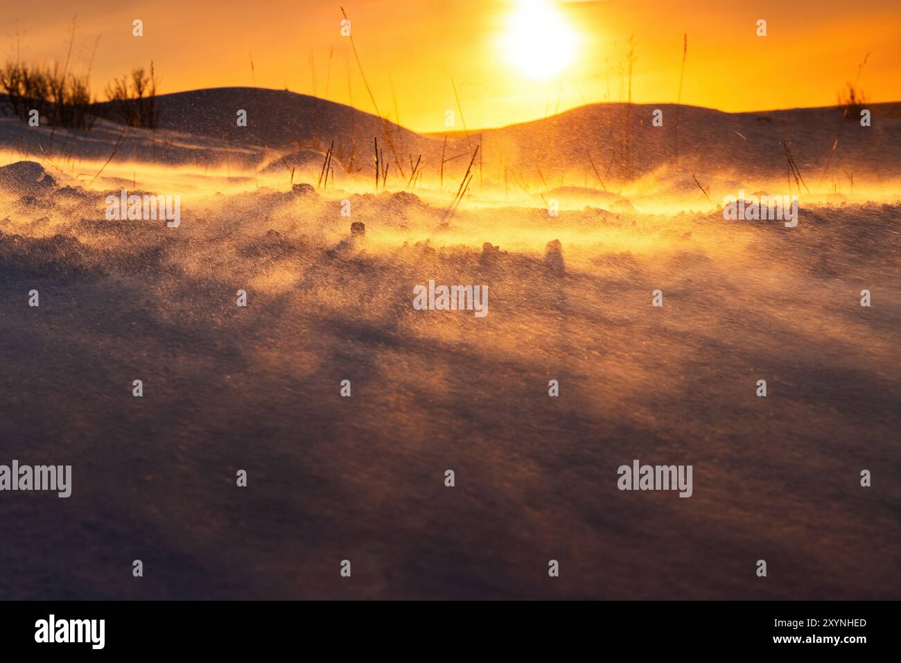 Polar sunrise over frozen landscape, snow covered field after a ...