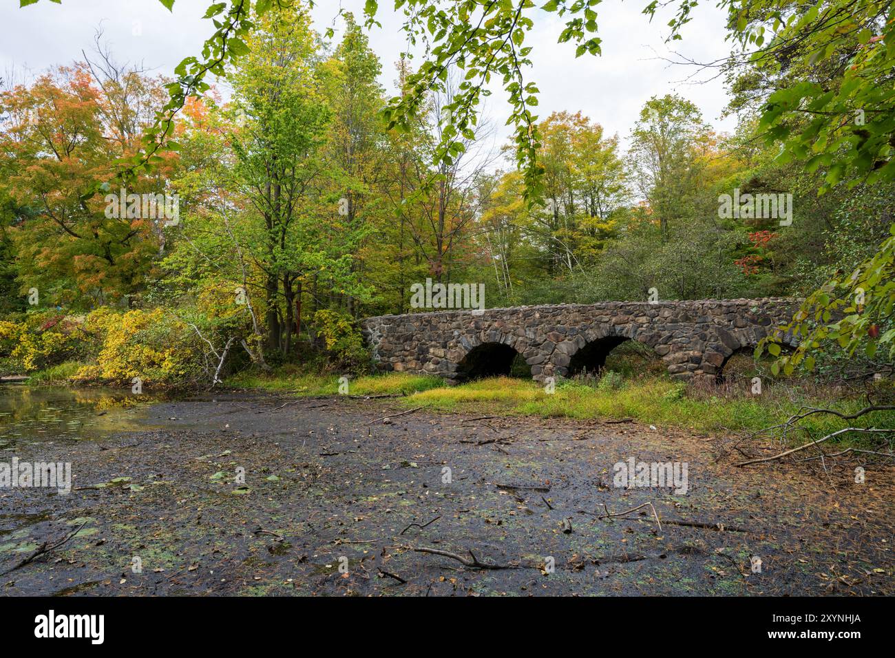 Stone bridge in Mont-Saint-Bruno National Park autumn forest. Saint ...