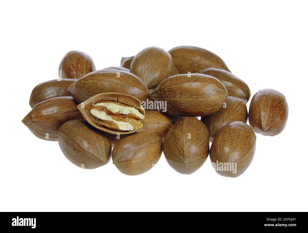 Pecan nut, pecan nut 02 Stock Photo - Alamy