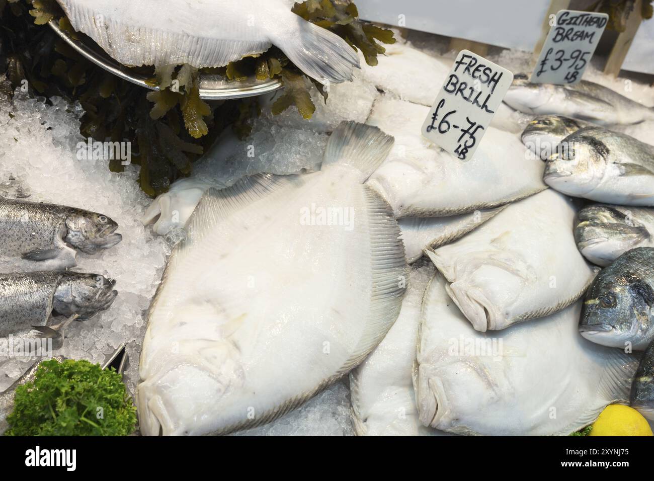 Fresh brill on ice Stock Photo - Alamy