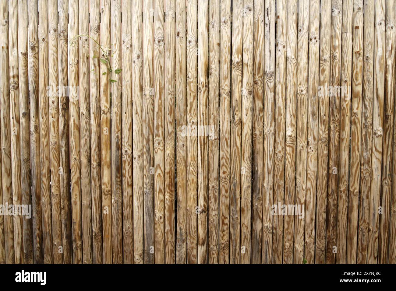 Picket bars hi-res stock photography and images - Alamy