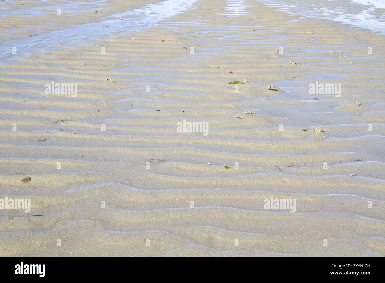 Sea sand at low tide, texture, background Stock Photo - Alamy