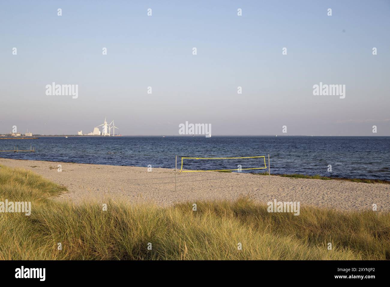 Volleyball still life hi-res stock photography and images - Alamy