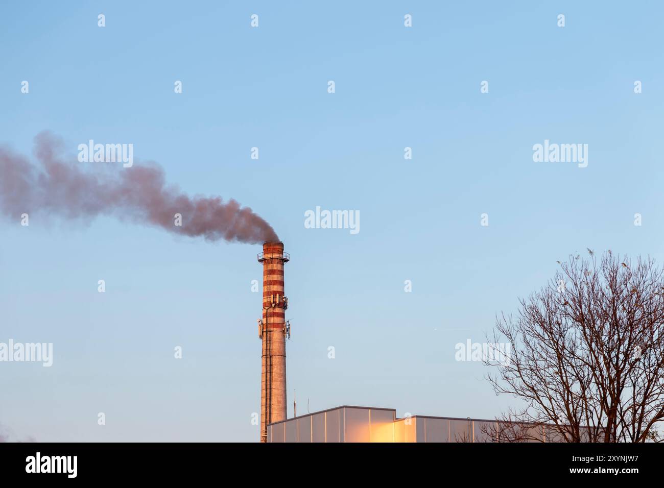Raw coal drying in a factory. Belts for transport to the thermal power ...