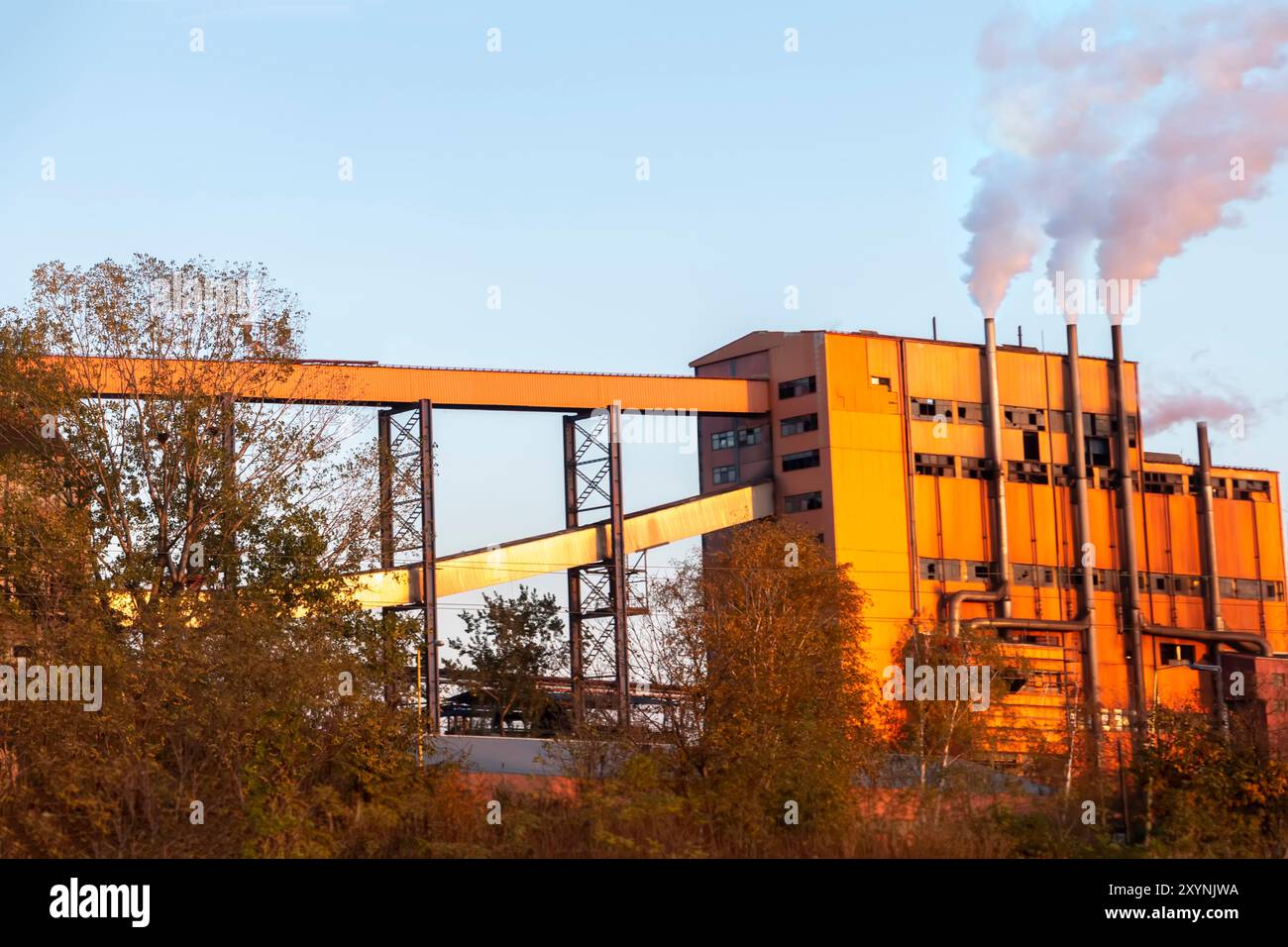 Raw coal drying in a factory. Belts for transport to the thermal power ...