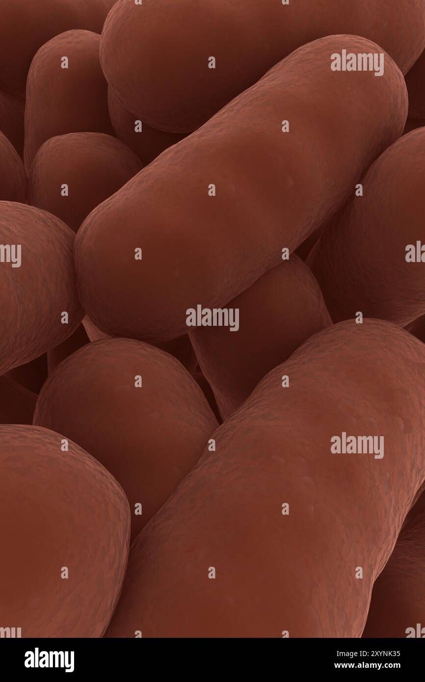 Detailed microscopic sections hi-res stock photography and images - Alamy
