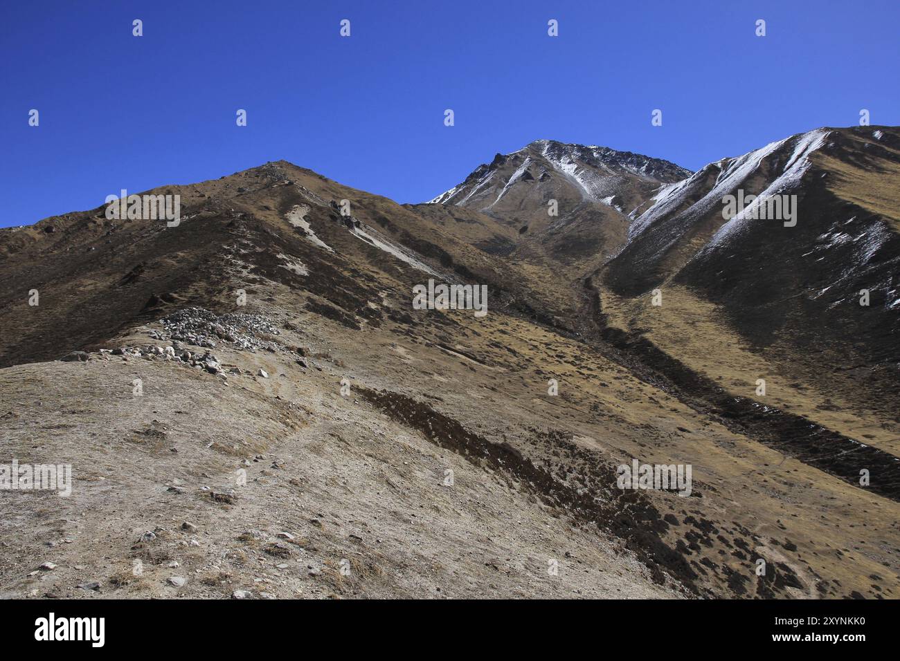 Popular viewpoint Tserko Ri, Langtang valley. Spring day Stock Photo ...
