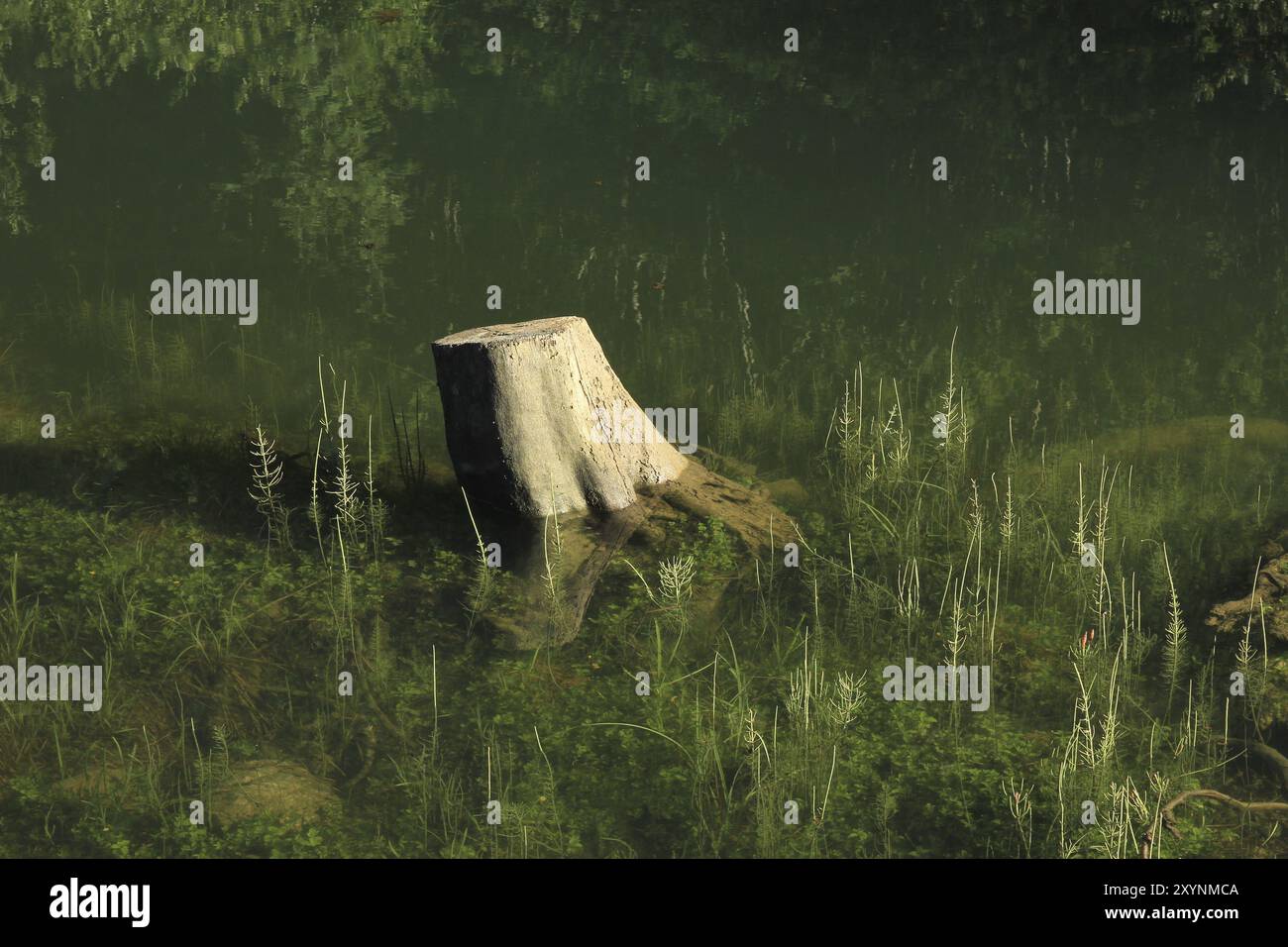 Body trunk scene hi-res stock photography and images - Alamy