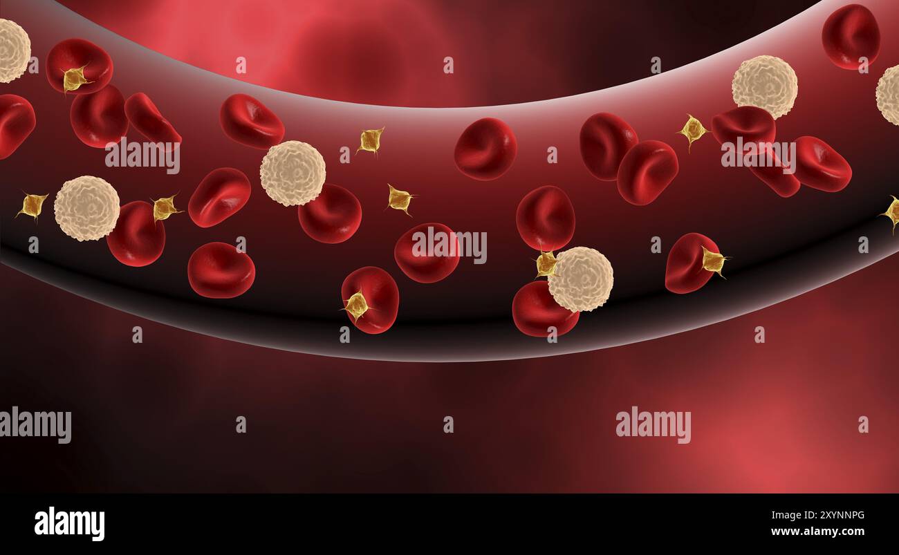 Blood vessel with platelets, white blood cells and red blood cells ...