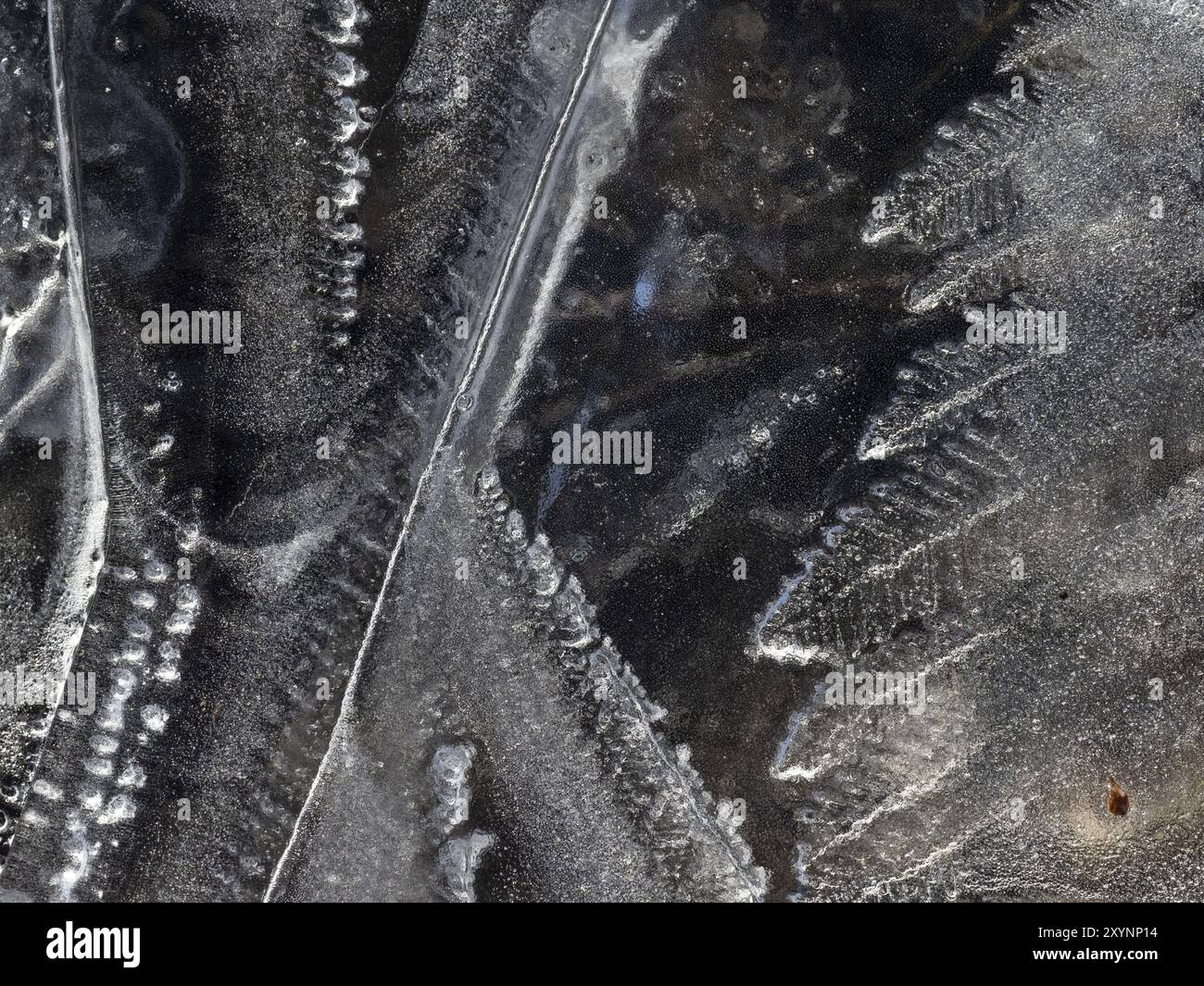 Ice patterns in a frozen puddle of water hi-res stock photography and ...