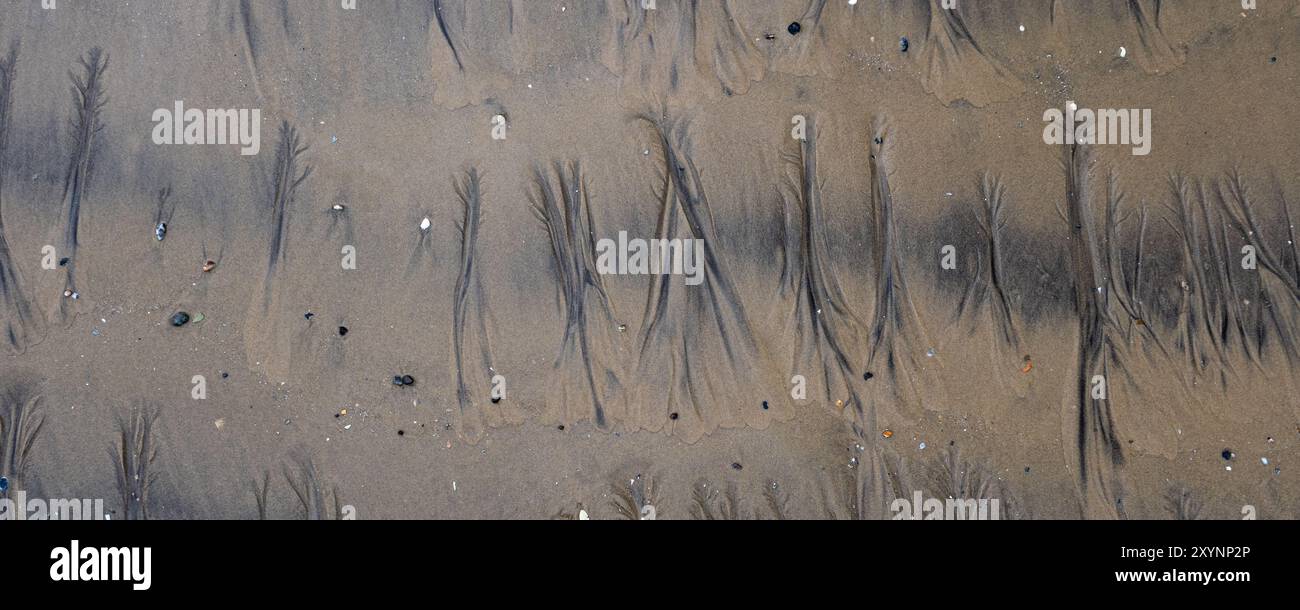 a close up of linear line pattern markings in the sand from withdrawing ...