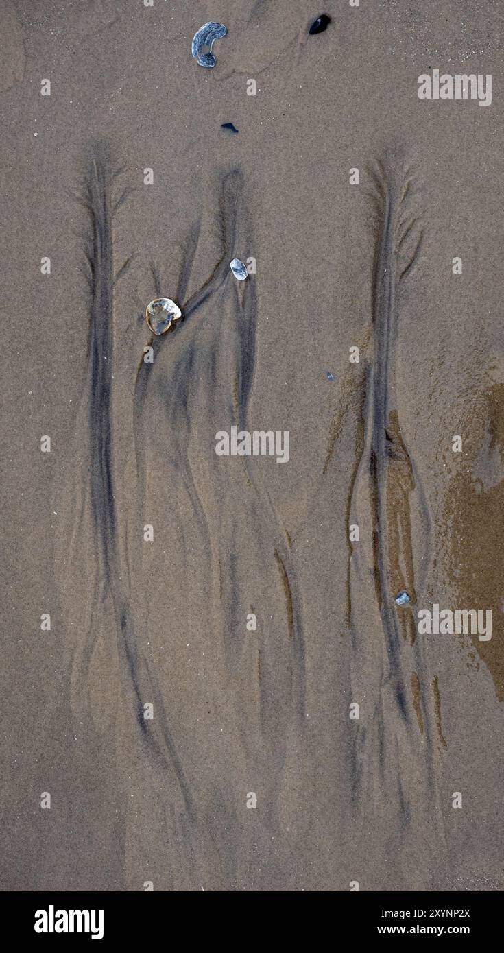 a close up of linear line pattern markings in the sand from withdrawing ...