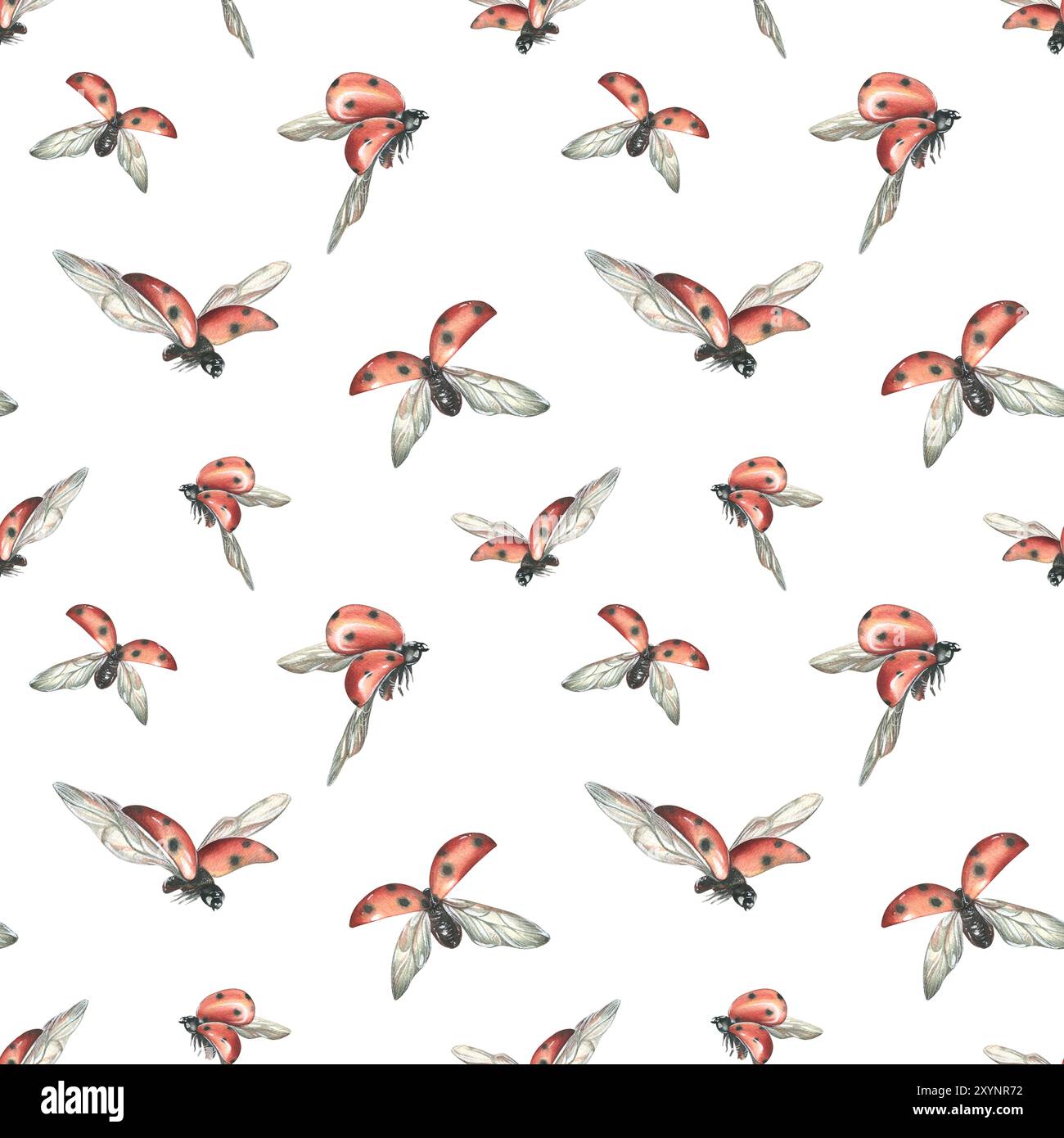 Red ladybugs with black dots flying. Hand drawn watercolor illustration ...