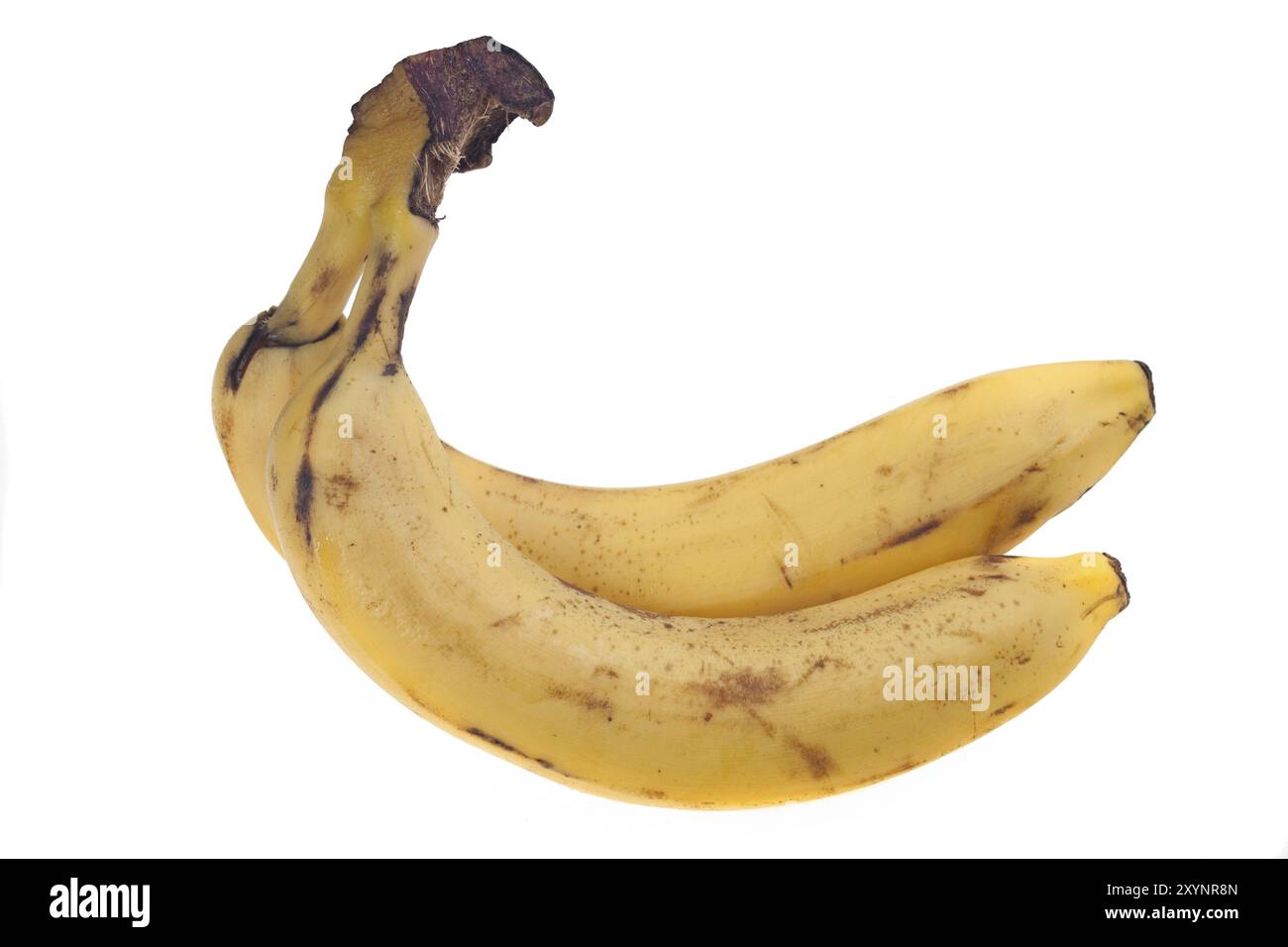 Two bananas isolated on white background Stock Photo - Alamy