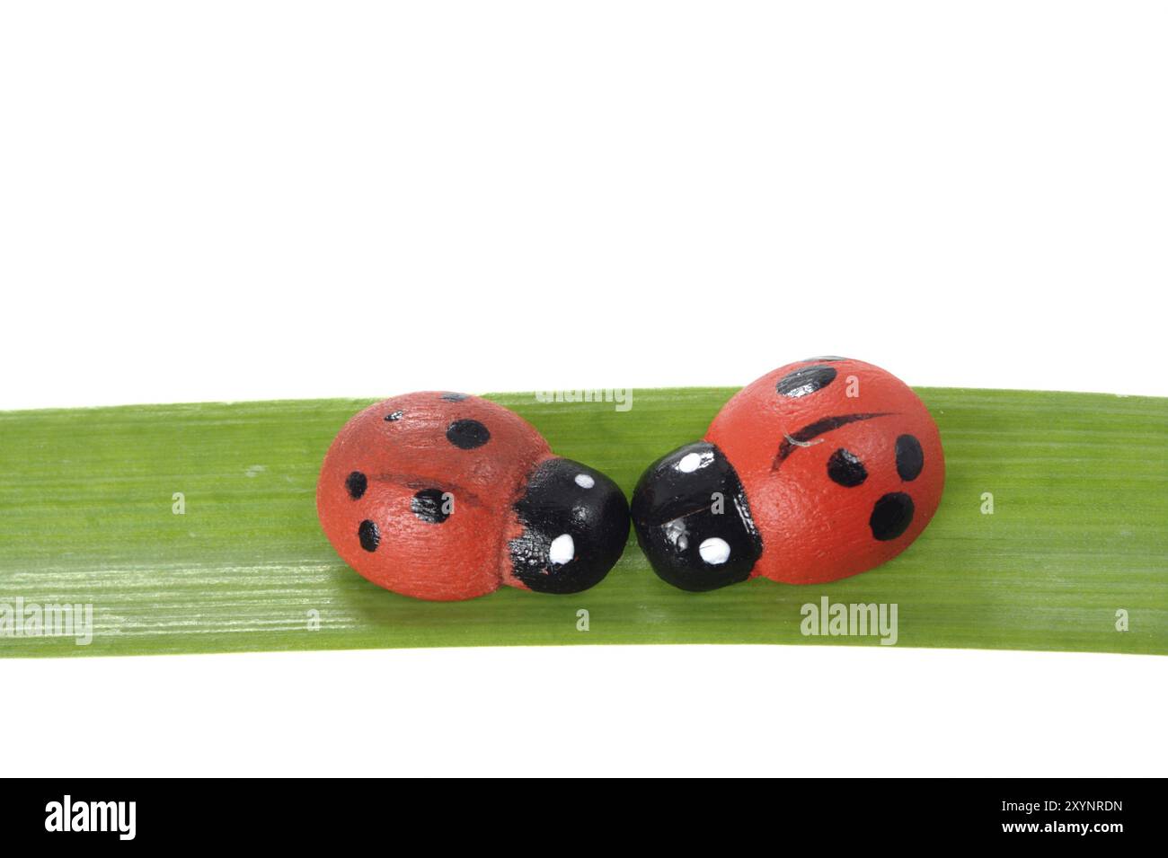 Love for bugs hi-res stock photography and images - Alamy