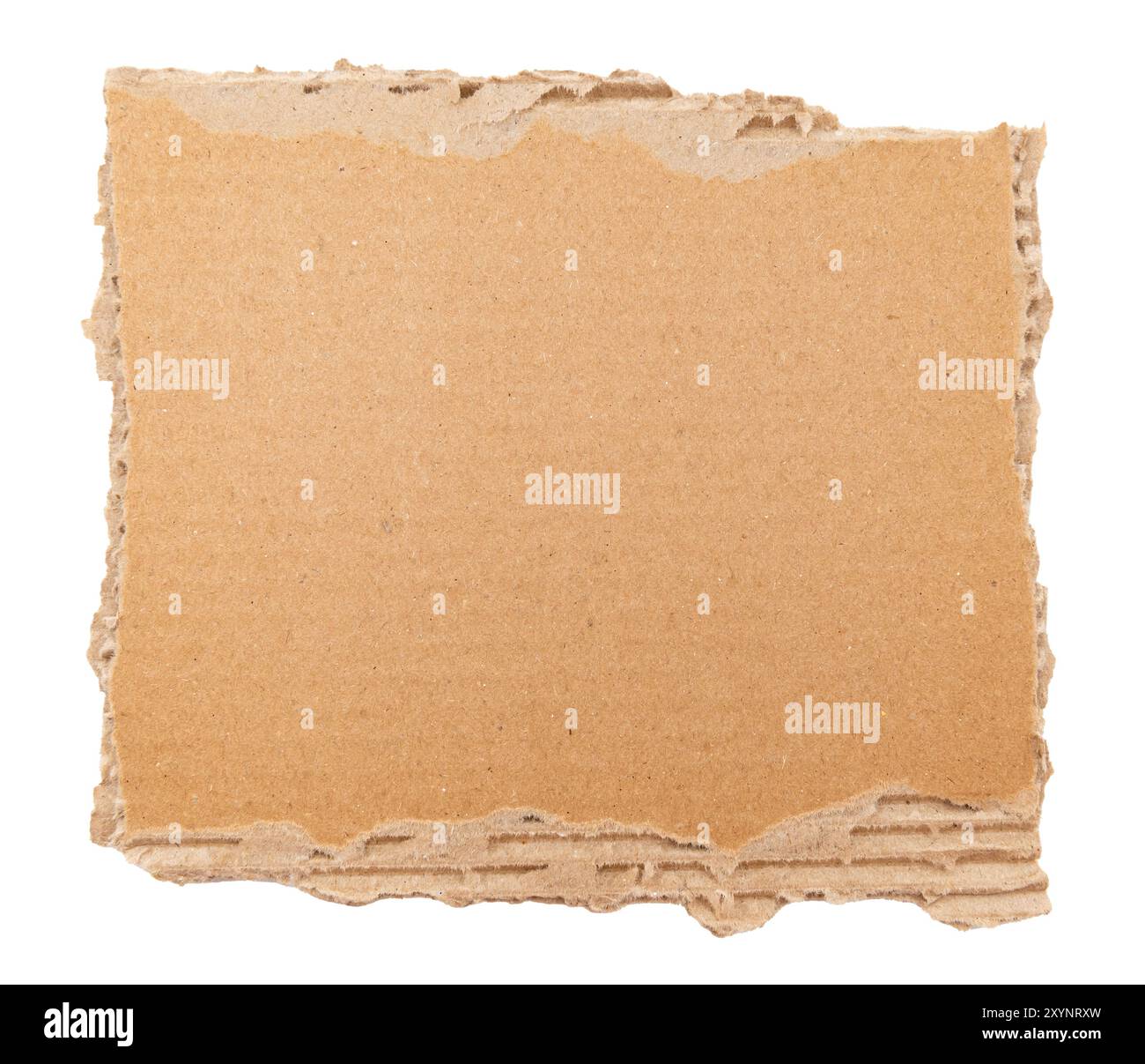Piece of torn cardboard on a white background. Torn cardboard isolate ...
