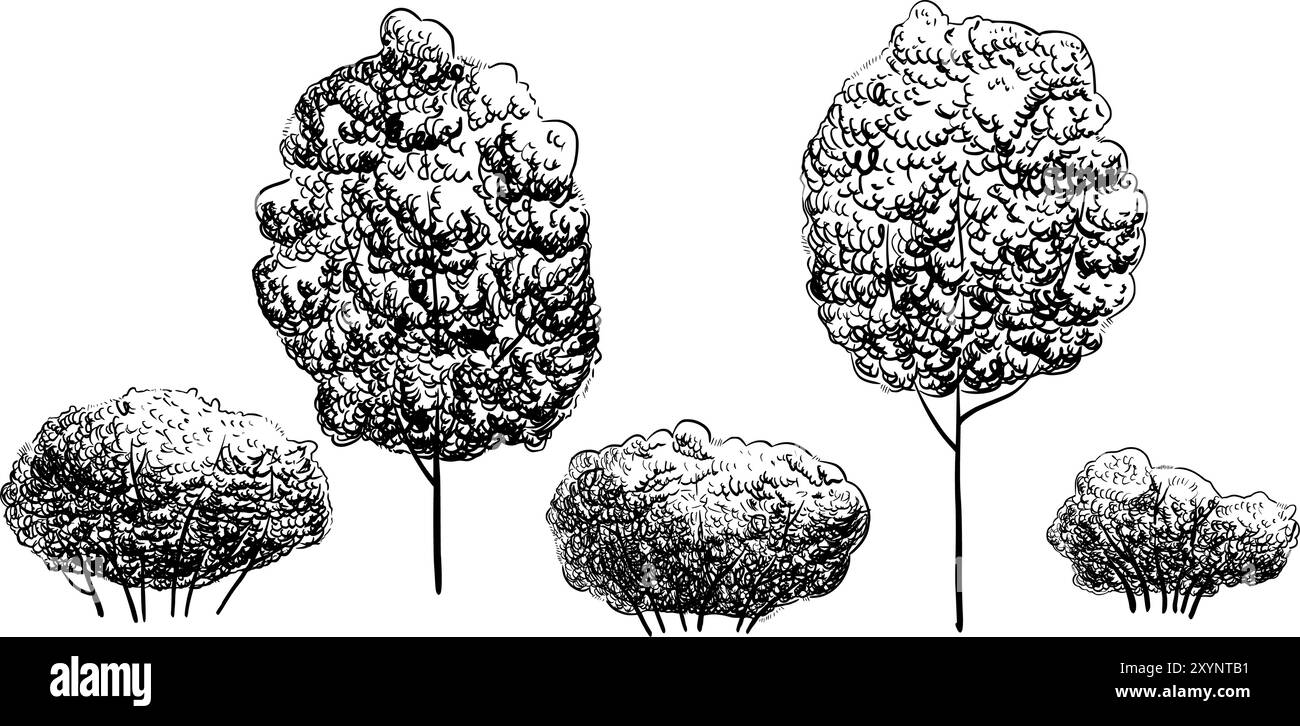 Trees vector illustration. Linear drawing for clipart with shrubs ...