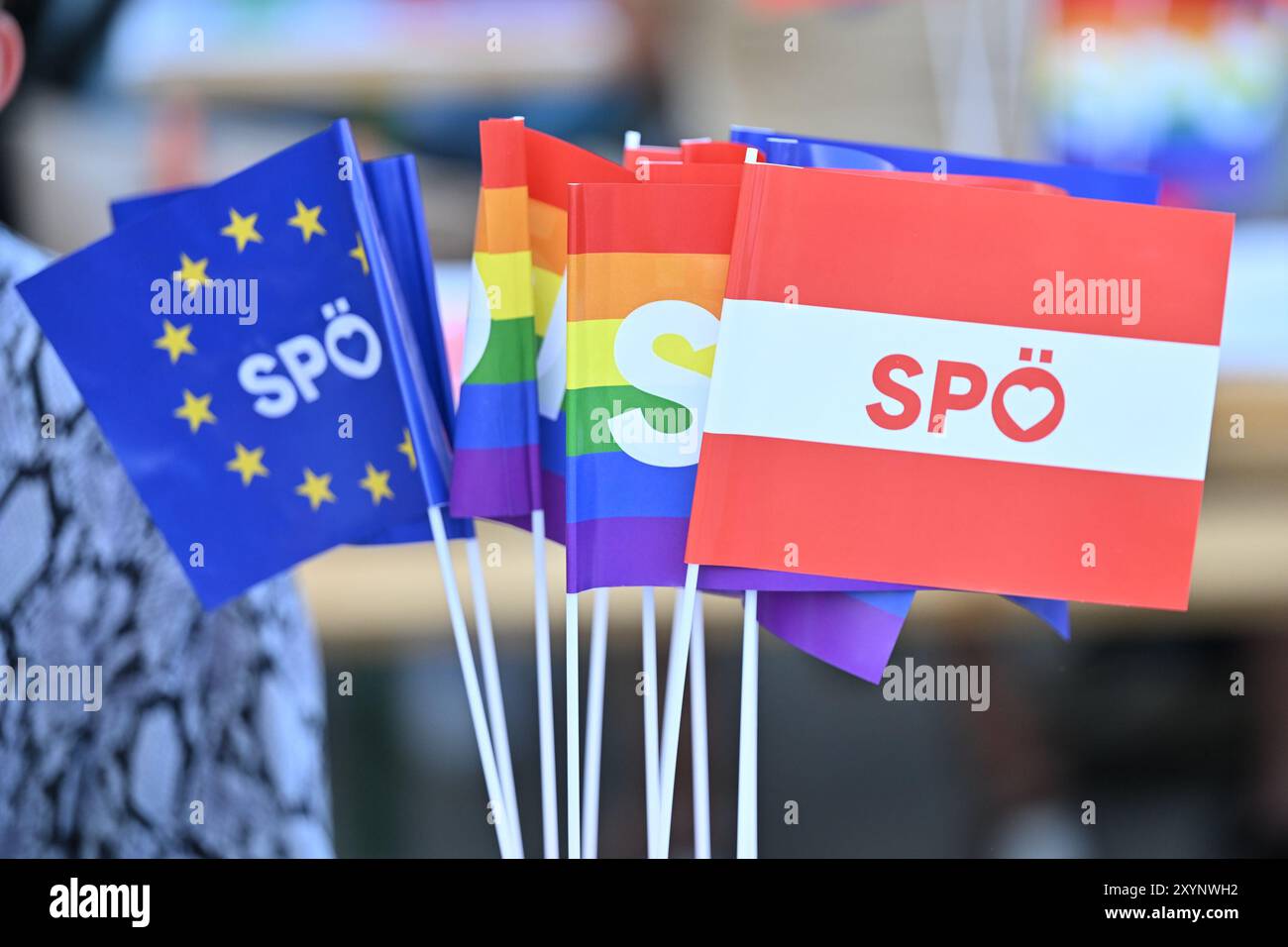 Linz, Austria. 29th Aug, 2024. LINZ, AUSTRIA - AUGUST 29: Fahne, Flagge ...
