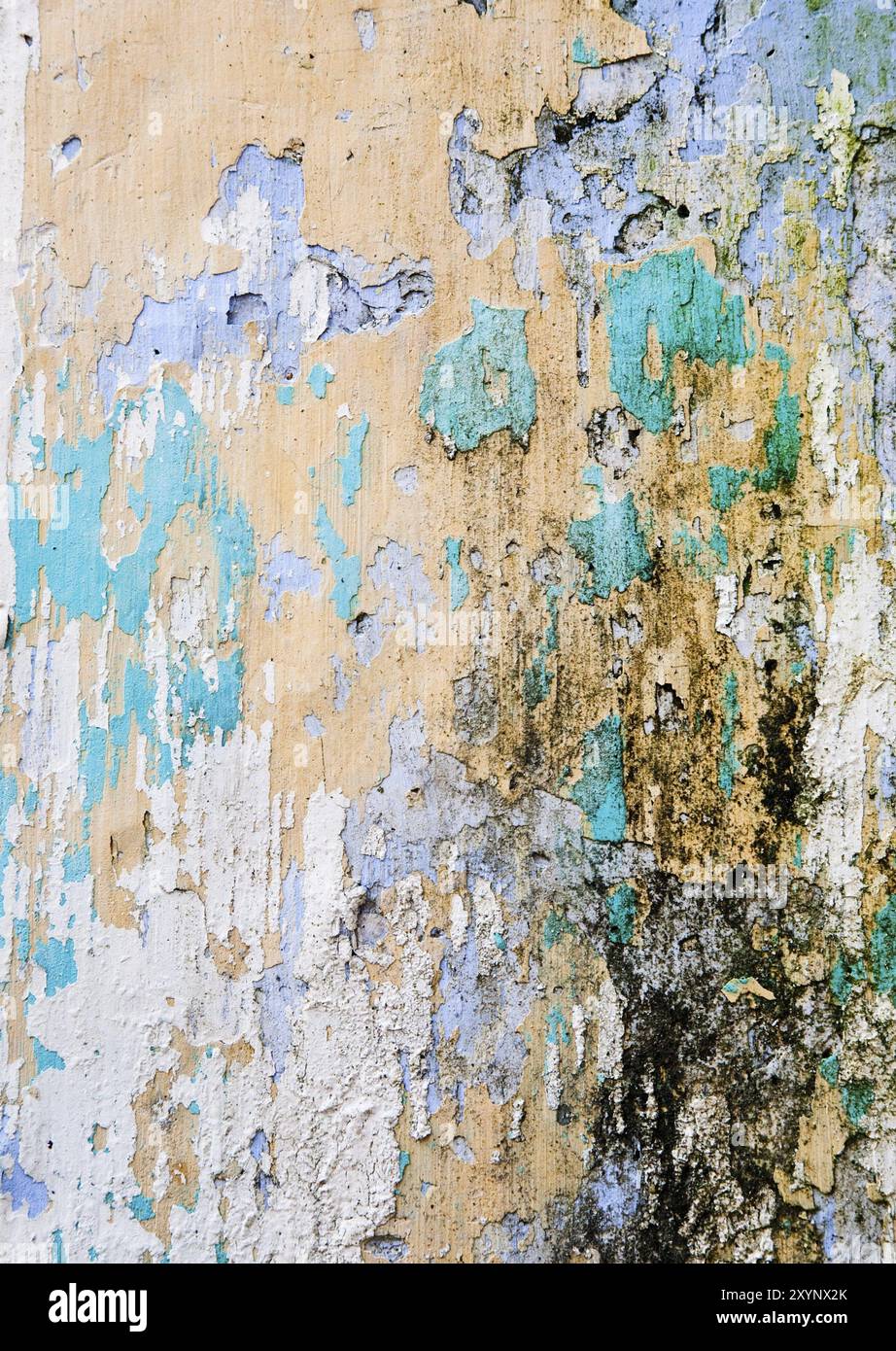 Old color wall texture. Grunge backgrounds collection Stock Photo - Alamy