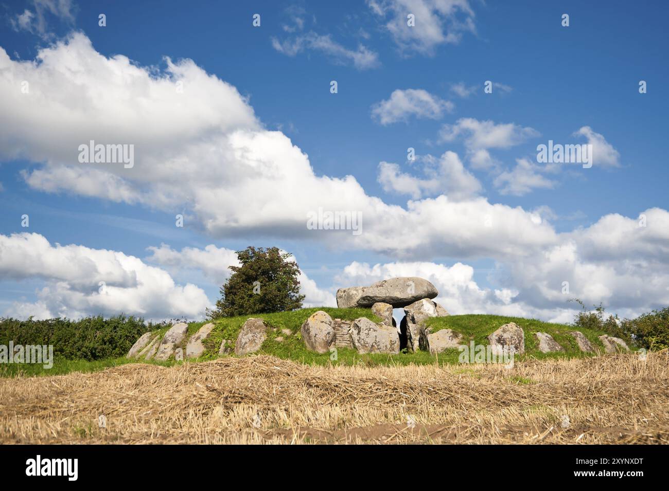 Ancient grave on the island Mon, Denmark, Europe Stock Photo - Alamy