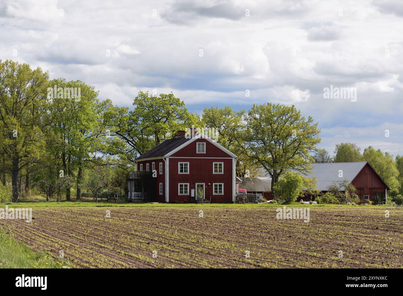 Traditional 19th century farmhouse in Smaland, Sweden on a spring day ...