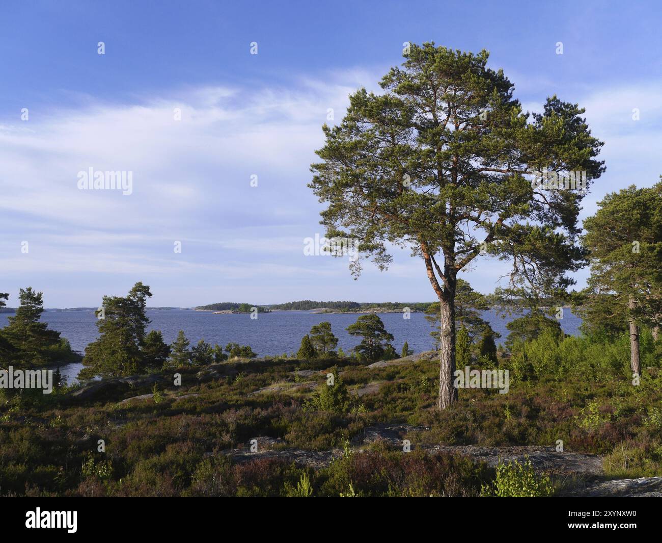 Nordic island coastal town in hi-res stock photography and images - Alamy