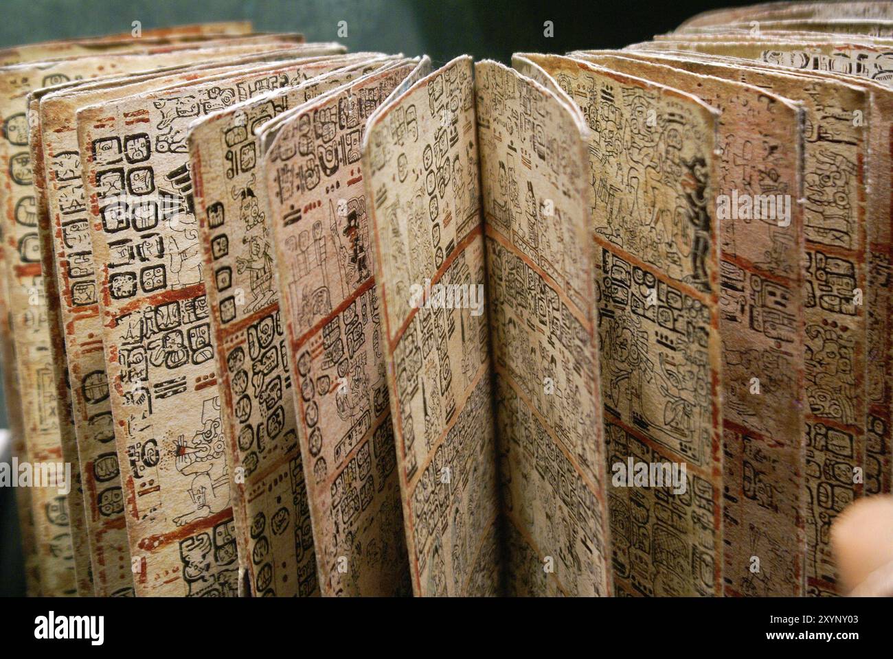 Codex Grolier. Maya Culture. National Museum of Anthropology. State of ...