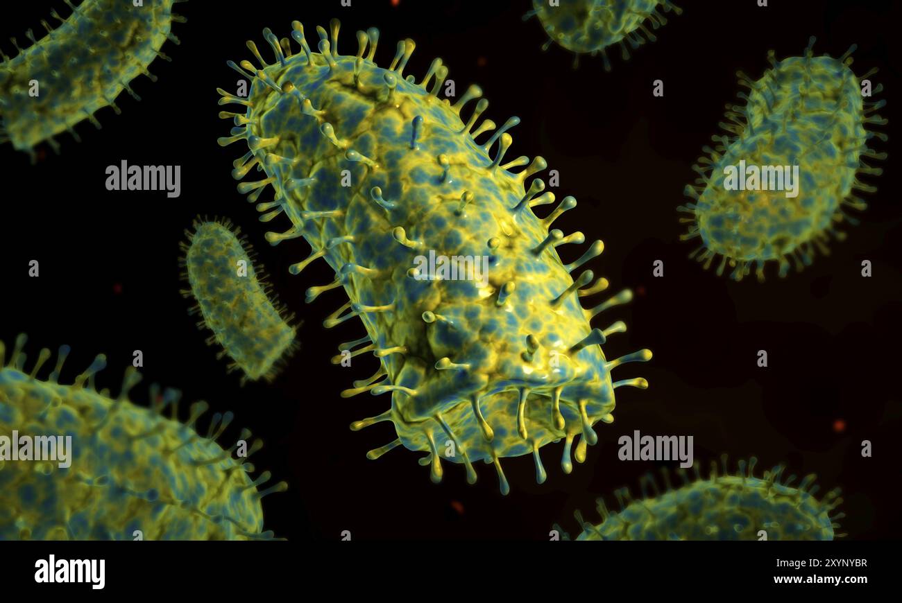 Rabies virus hi-res stock photography and images - Alamy