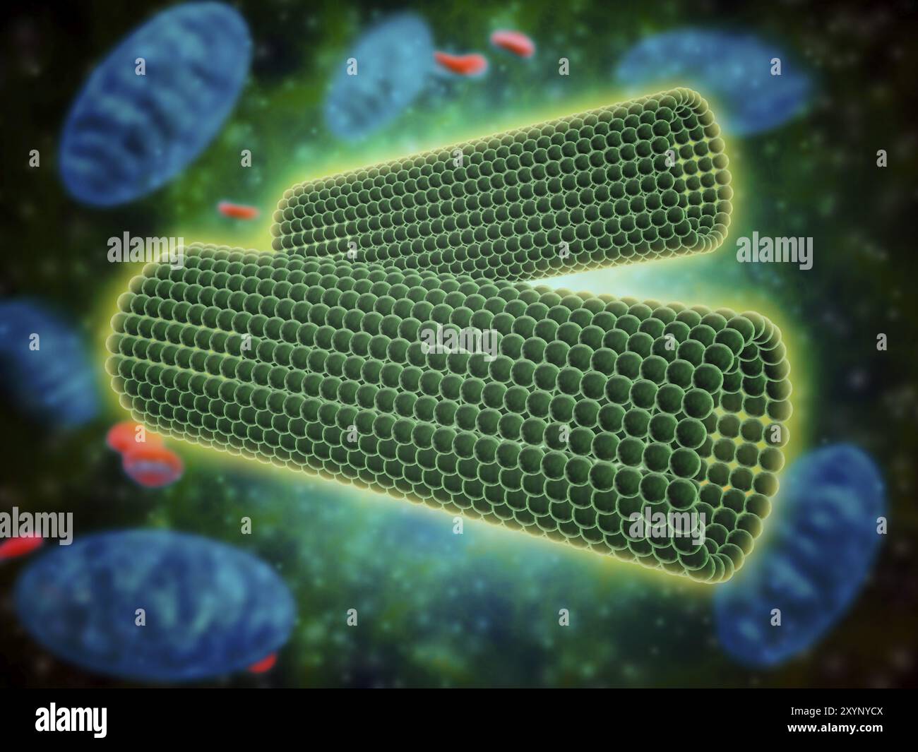 Microscopic image human cell hi-res stock photography and images - Alamy
