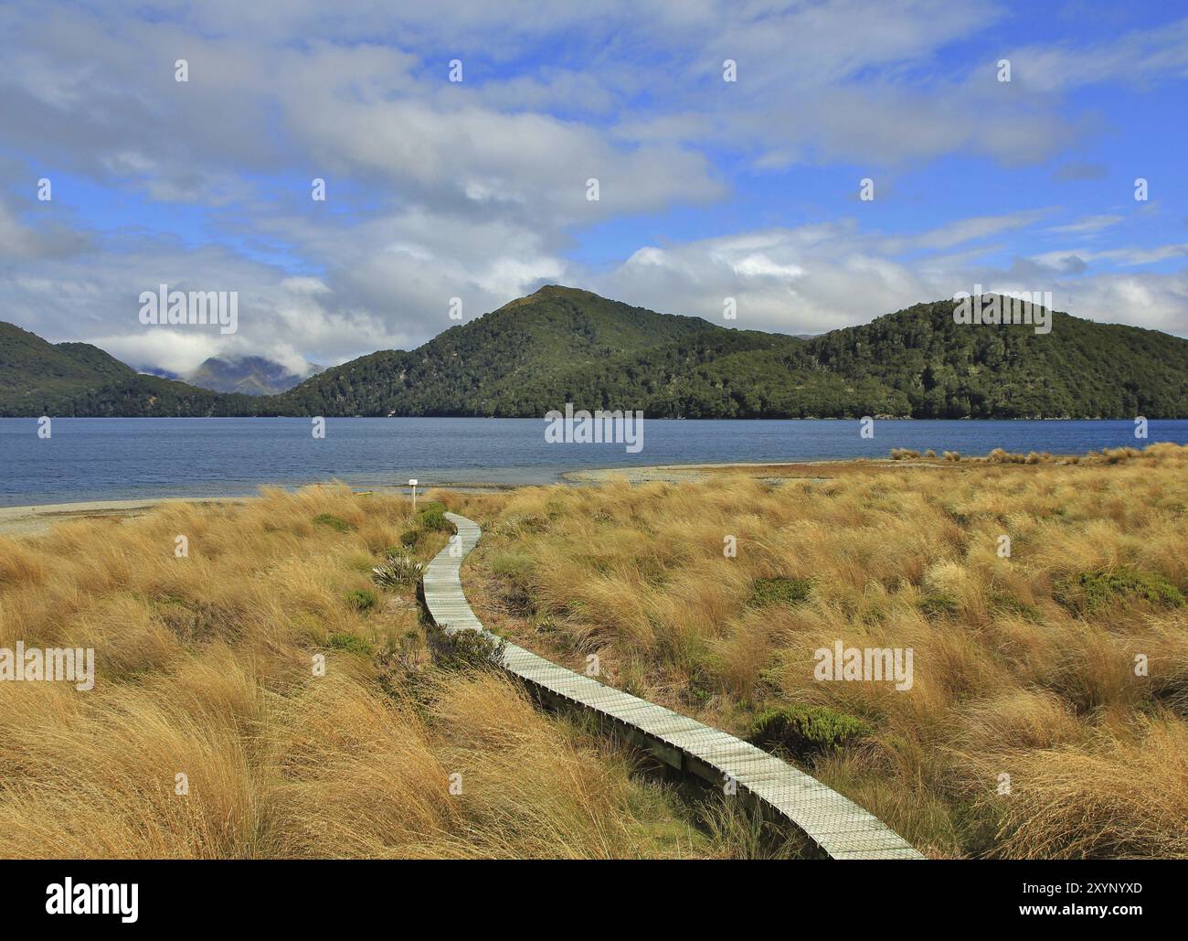 Scene at Green Lake, New Zealand, Dreamlike landscape. Curved gangplank ...
