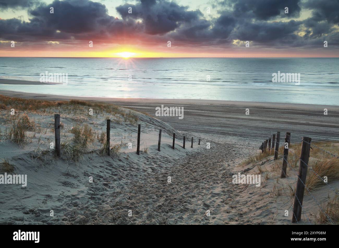 Sunshine on sand path to sand beach, Holland Stock Photo - Alamy