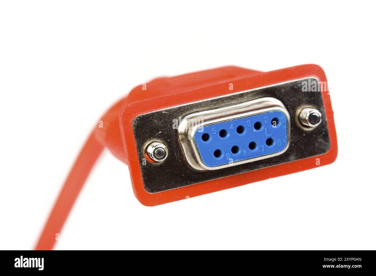 Computer plug in front of a white background Stock Photo - Alamy