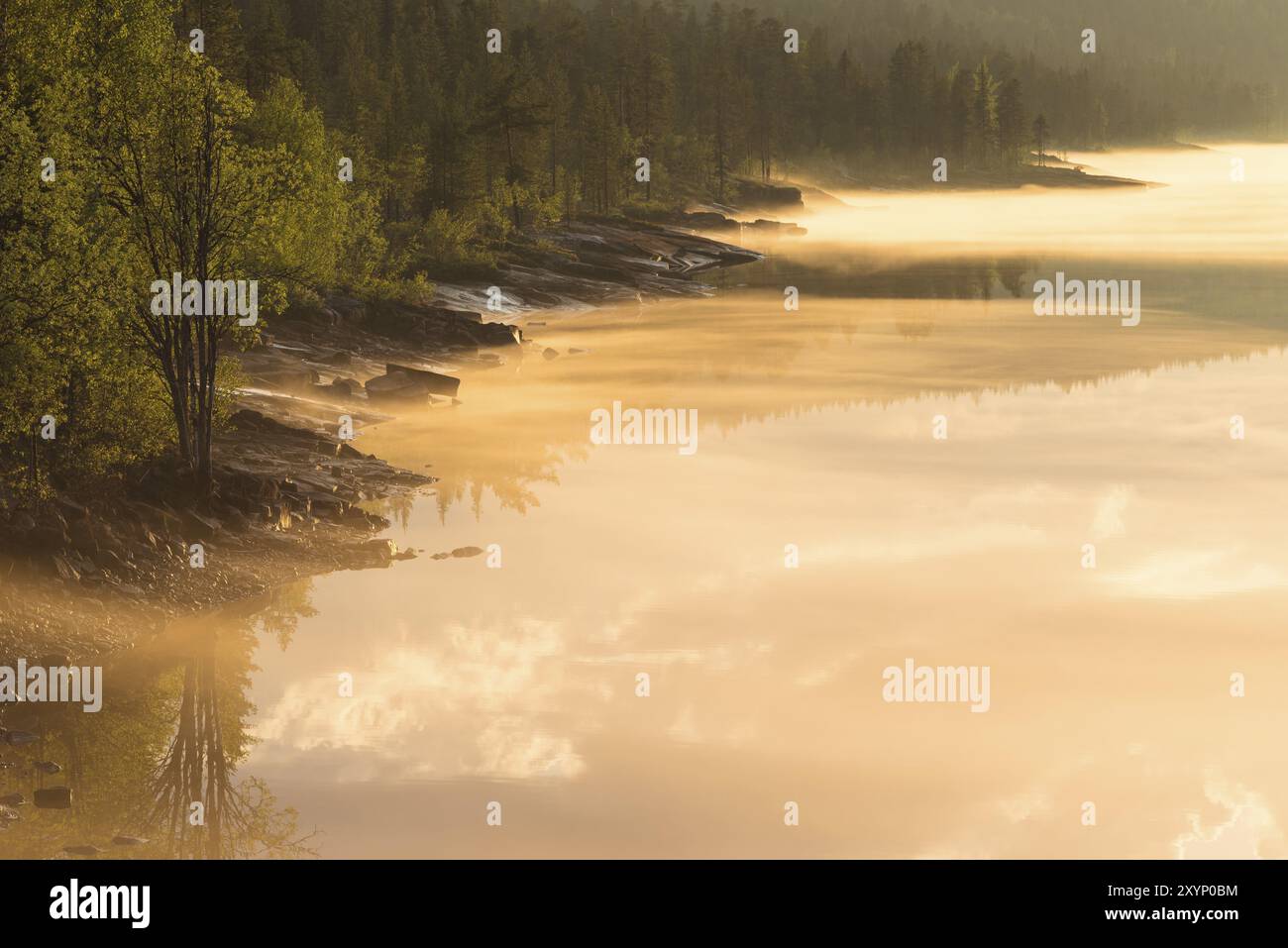 Evening fog at the river Stora Luleaelven, Norrbotten, Lapland, Sweden ...