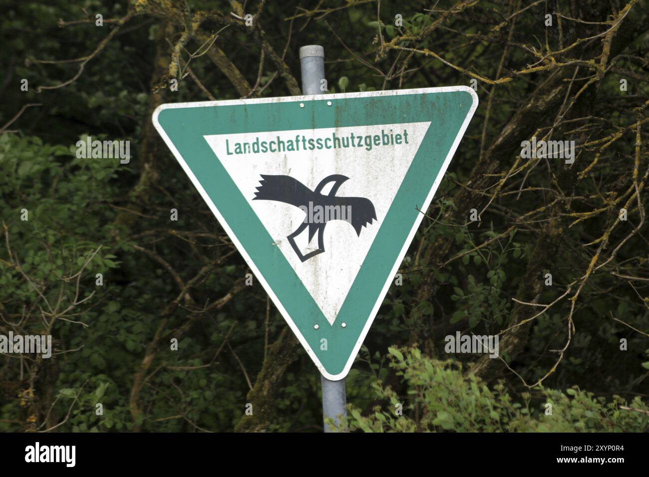 Landscape conservation area Stock Photo - Alamy