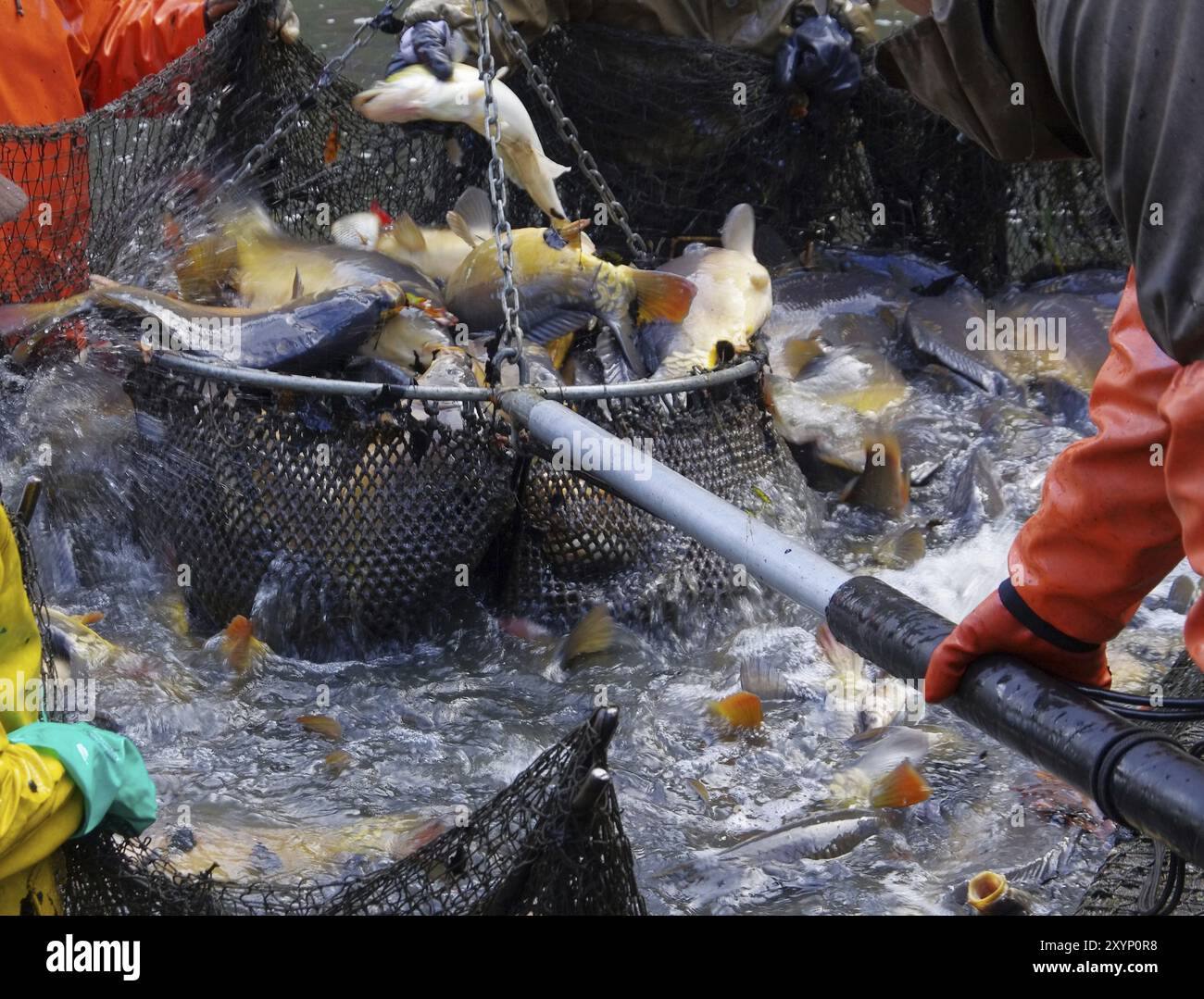 Fishing out, dry fishing 10 Stock Photo - Alamy