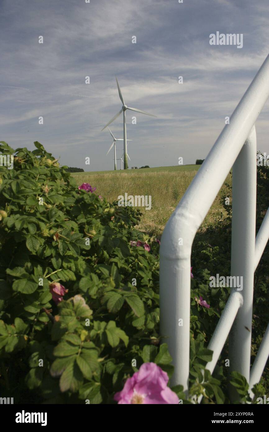 Wind turbines with roses Stock Photo - Alamy