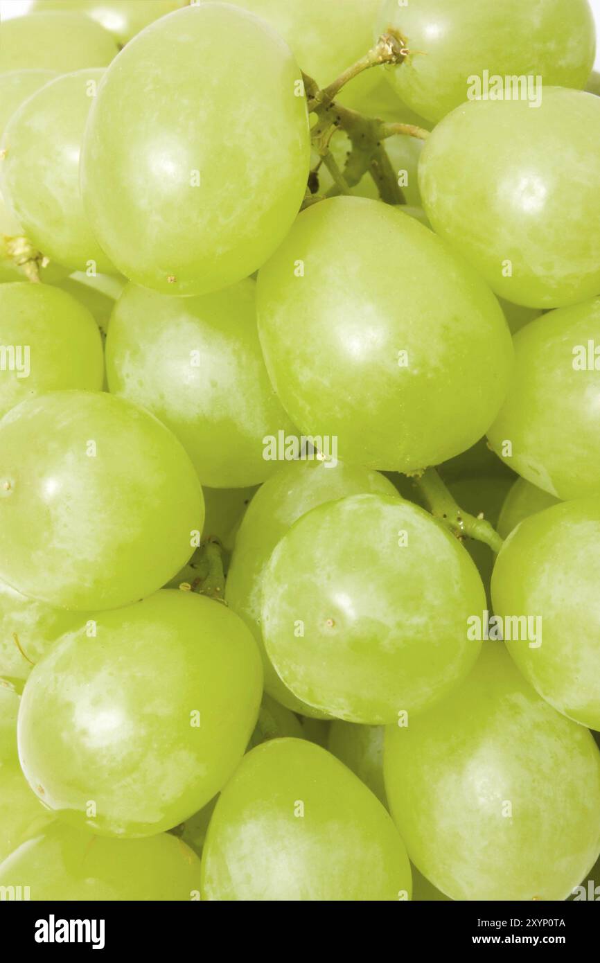 Juicy green grape background Stock Photo - Alamy